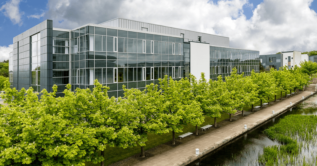 Q+A: LCN’s LaPuma on collecting assets, making wishes and keeping ...