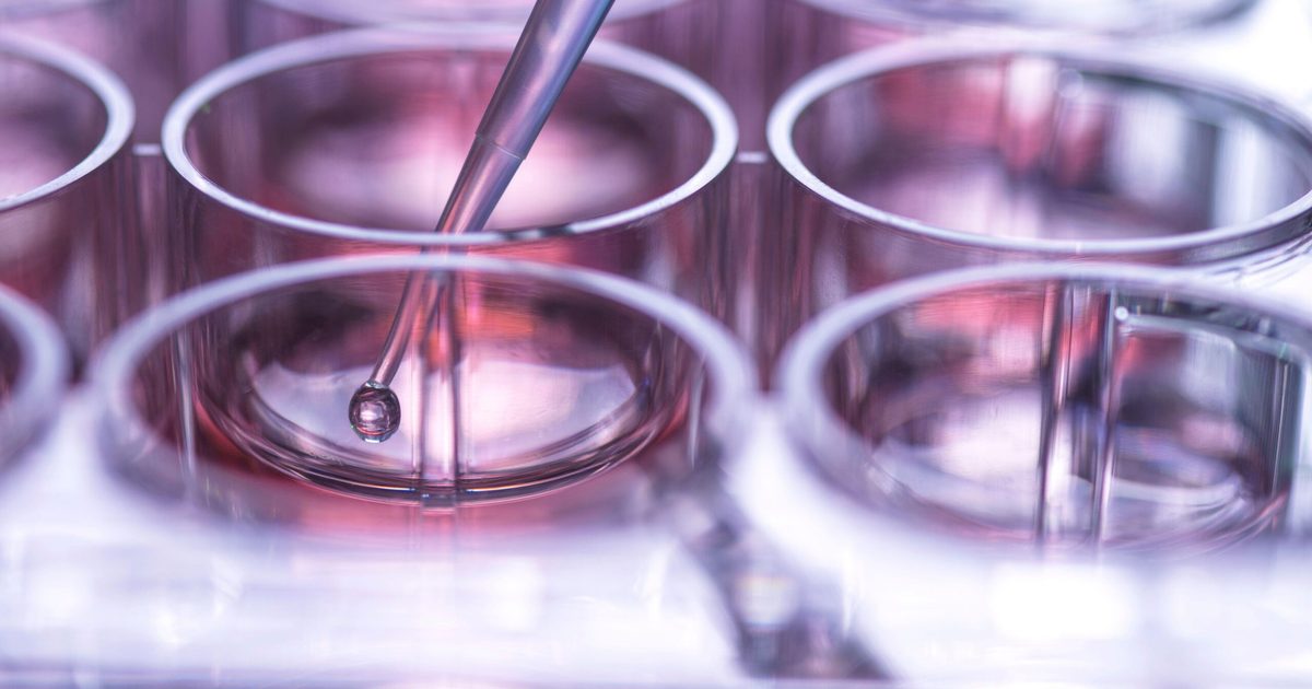 Investors flock to life sciences market with £20bn of funds - Green ...