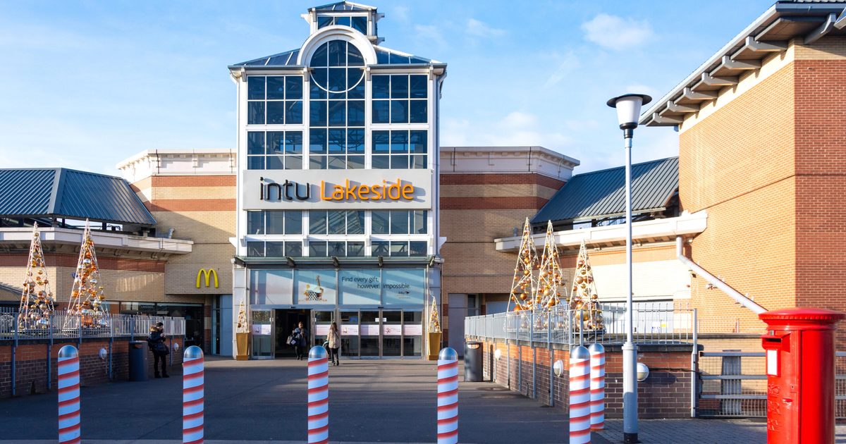 Intu alumni – where are they now? - Green Street News