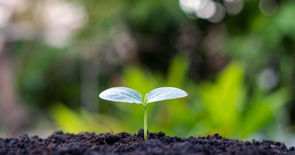 CBRE and Deepki team up for sustainable property management - Green ...