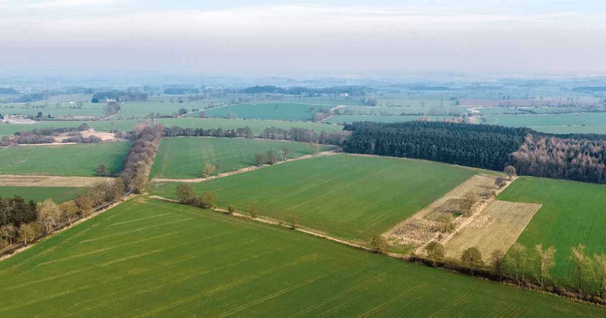 Receivers appointed for 2,500 acre Northumberland estate - Green Street ...