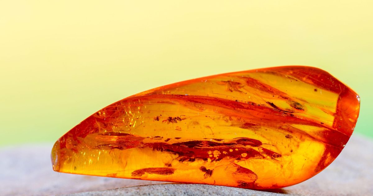 Clearbell closes book on £155m Amber portfolio with final sale - Green ...