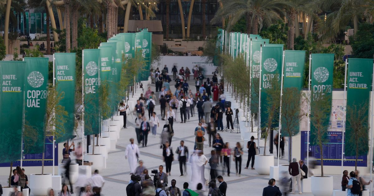 “We need a systematic change” – the industry reacts to Cop28 agreement ...