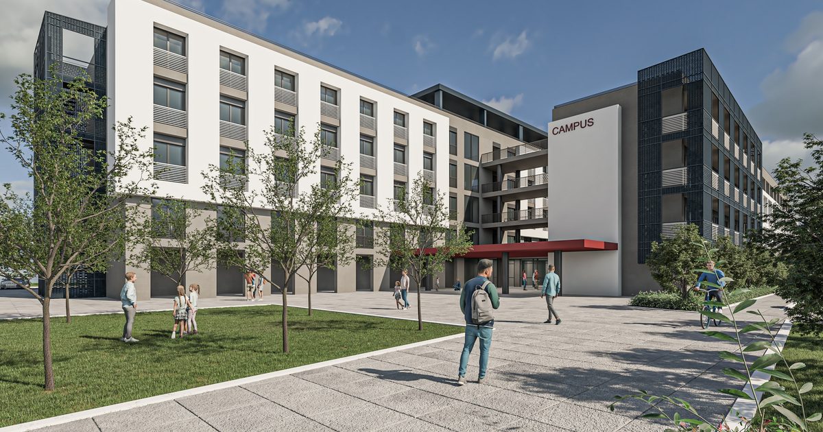 Barings plans Rome student scheme - Green Street News
