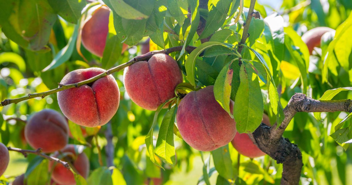 Tite Street Capital MD: "We are looking for low-hanging fruit" - Green ...