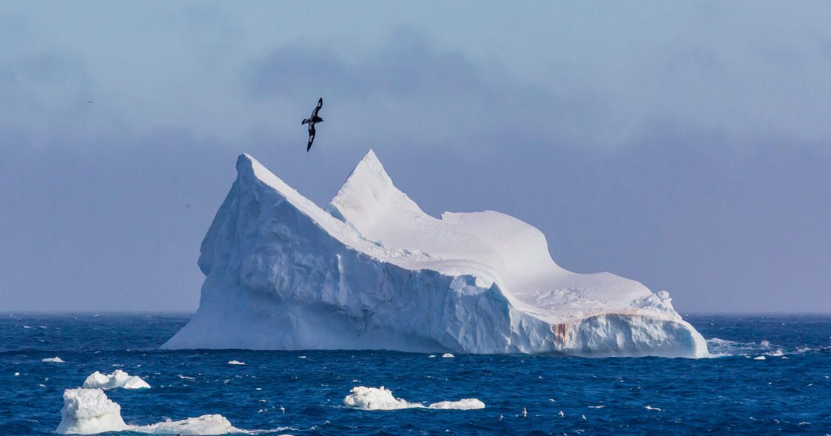 German NPLs: the tip of the iceberg and what lies beneath - Green ...