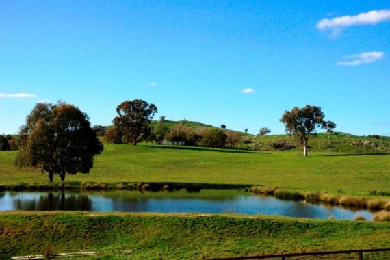 Ballyhooley breeding property changes hands - Green Street News