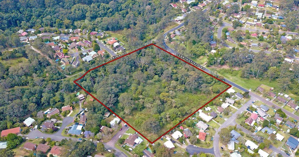 Buyer springs to Springfield - Green Street News