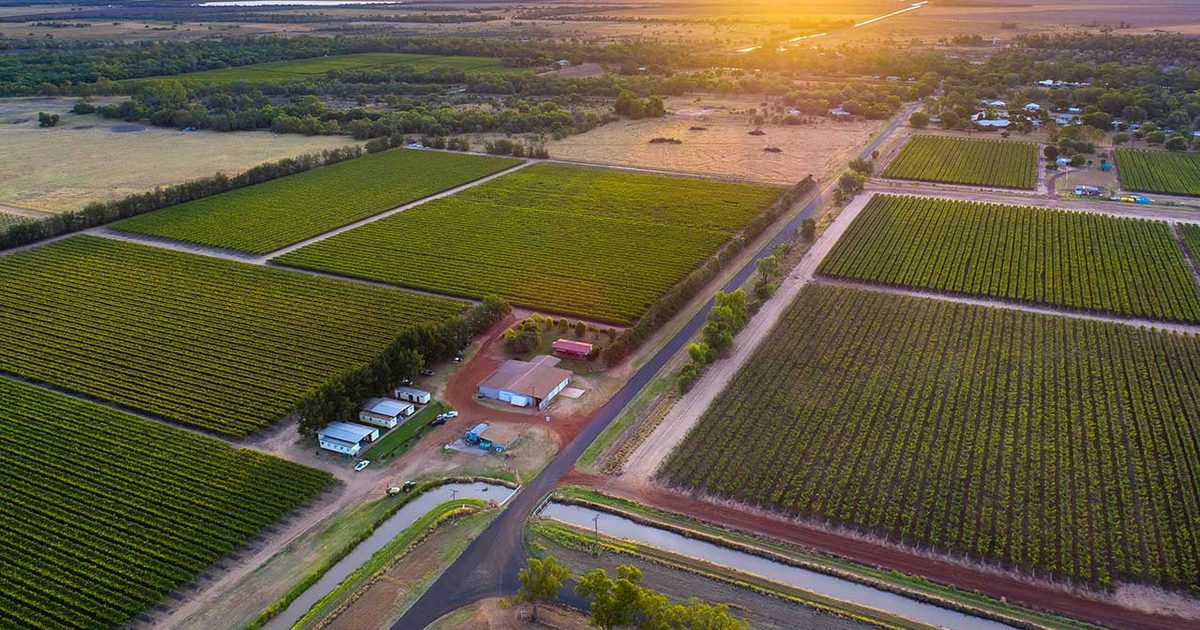 Grape farm ripe for investment - Green Street News