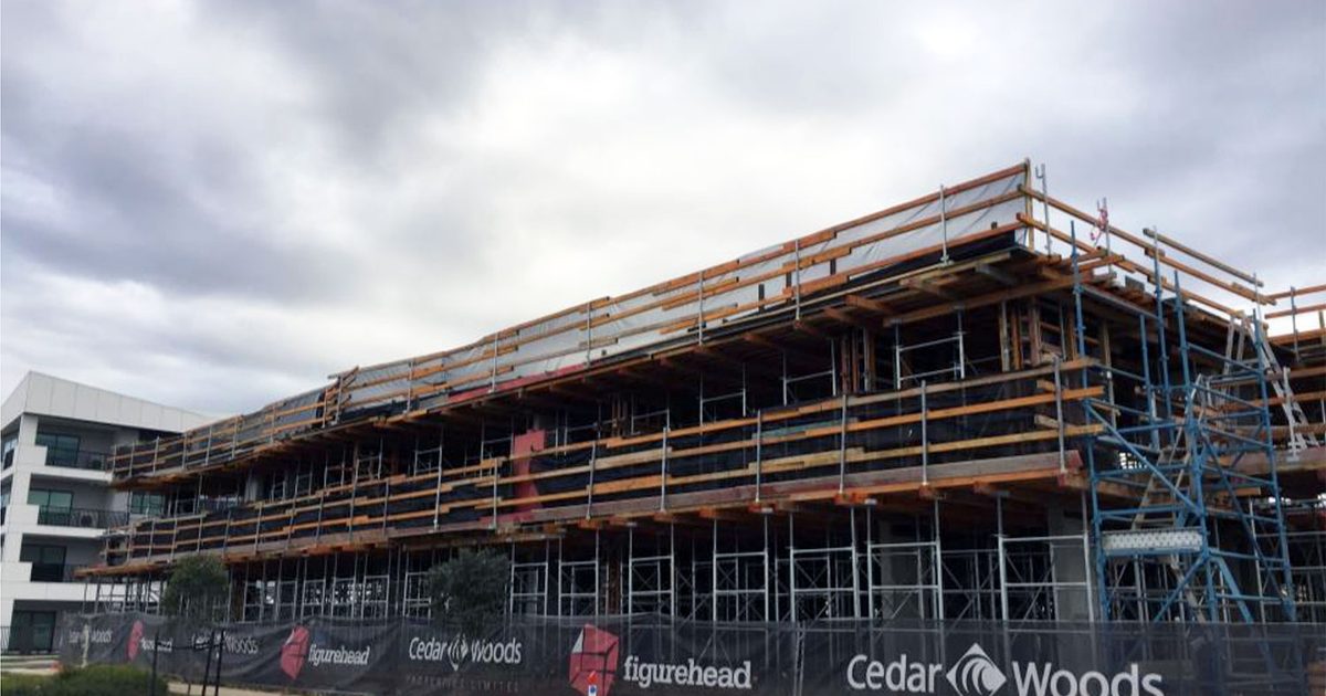 Cedar Woods plants seed for growth - Green Street News