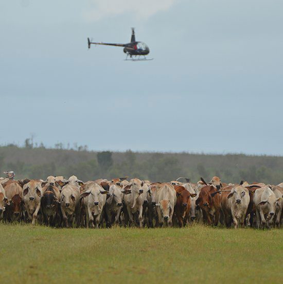 Melbourne barrister sells NT aggregation - Green Street News