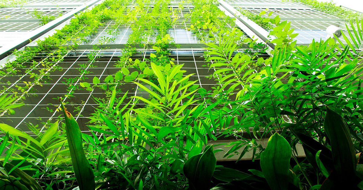 Floth leads the way in Queensland - Green Street News