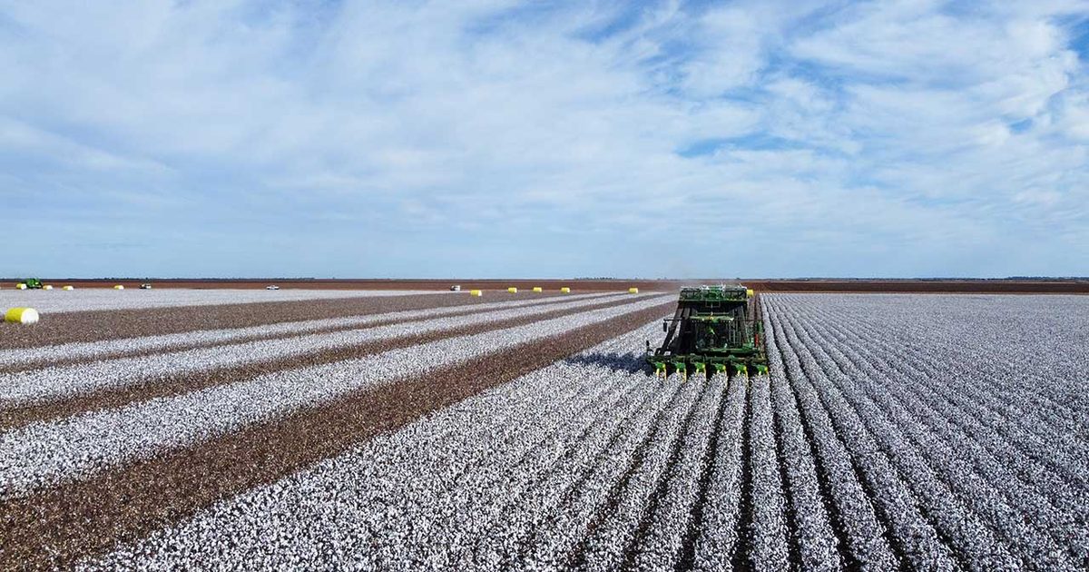 Chinese manufacturer sews up one of Aus largest irrigated farms - Green ...