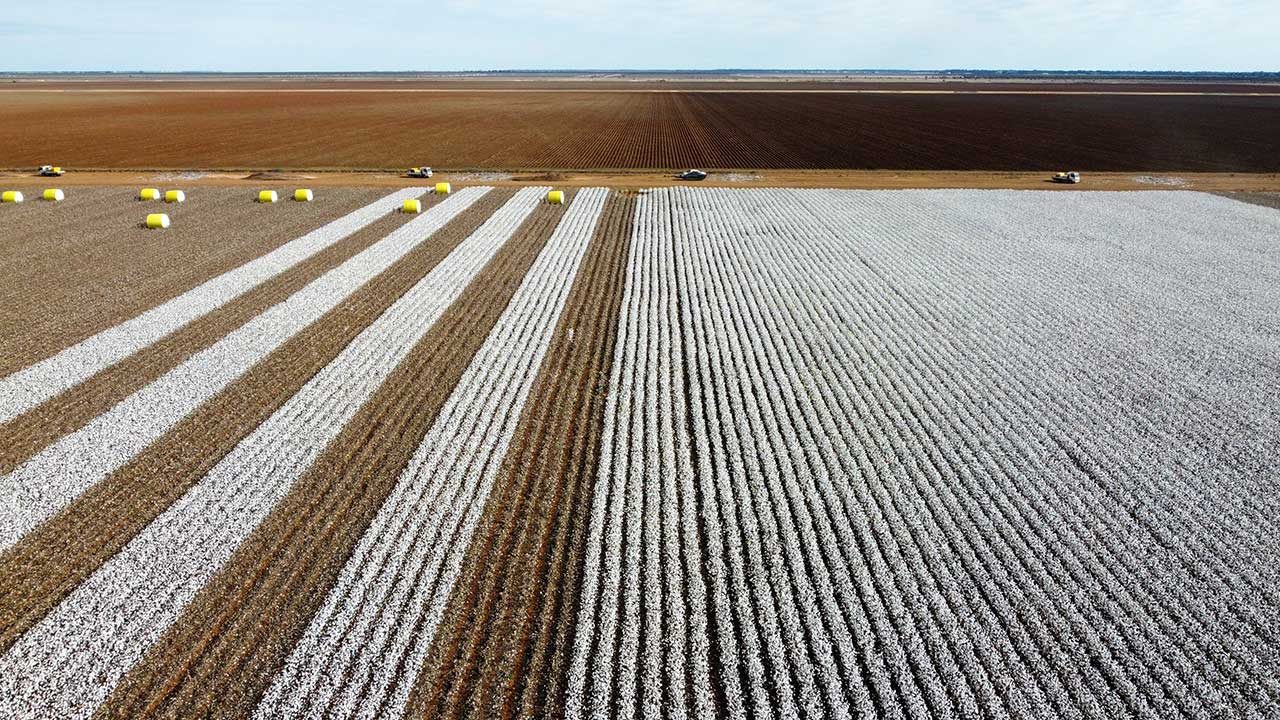 Chinese manufacturer sews up one of Aus largest irrigated farms - Green ...