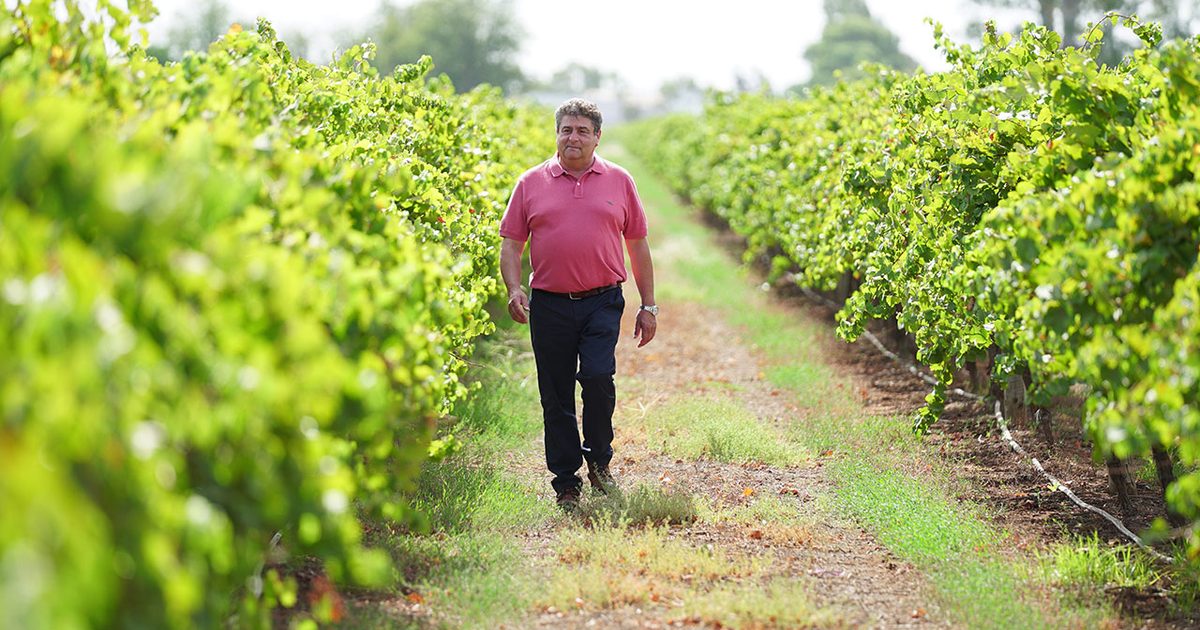 Casella on the lookout for a partner - Green Street News