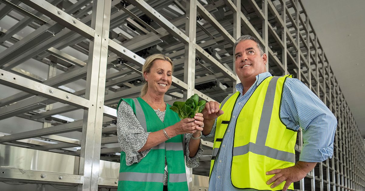 Vertical farming stacked with funds - Green Street News