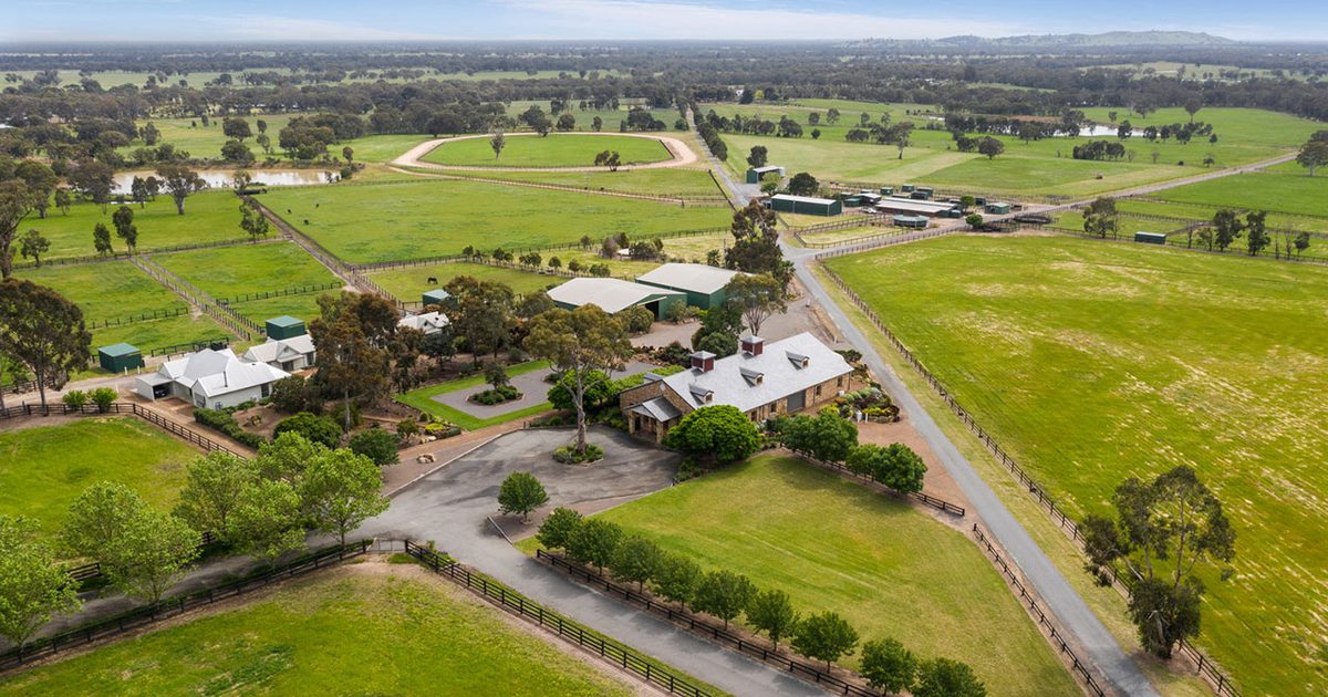 Award-winning breeding farm for sale - Green Street News