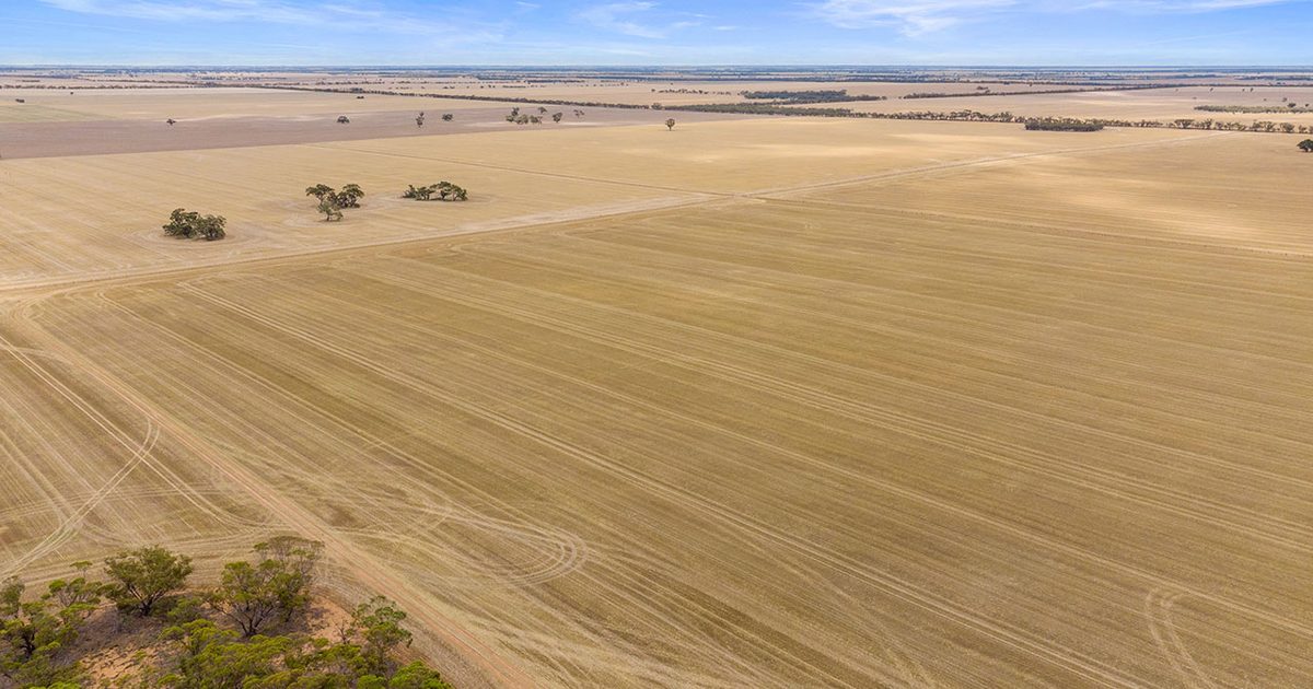 Merriwa divests Mallee cropping enterprise - Green Street News
