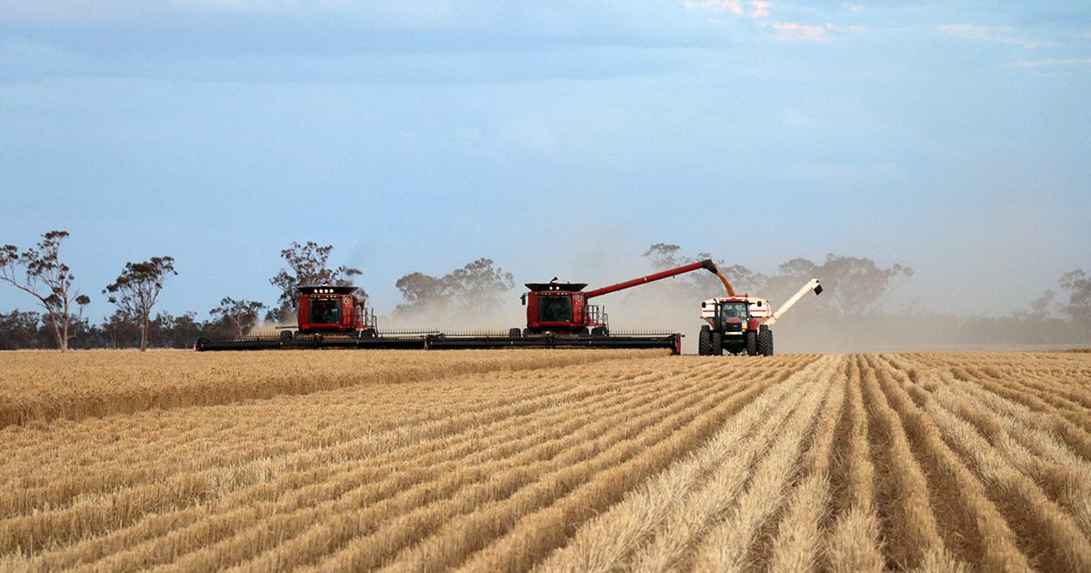 Moree dryland farm tipped to fetch $30m - Green Street News