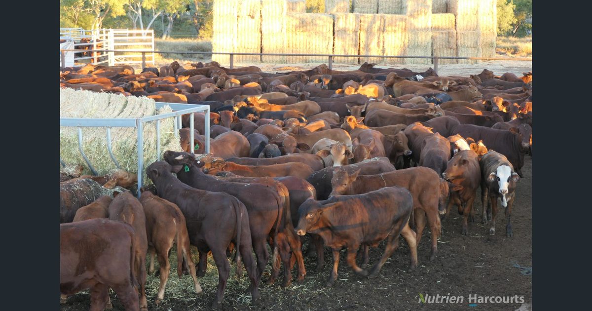 Filipino banker cashing NT station - Green Street News