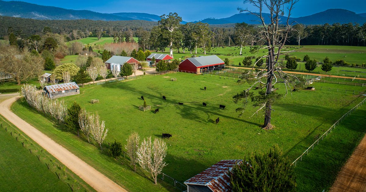 Victorian homestead expected to fetch $20m - Green Street News