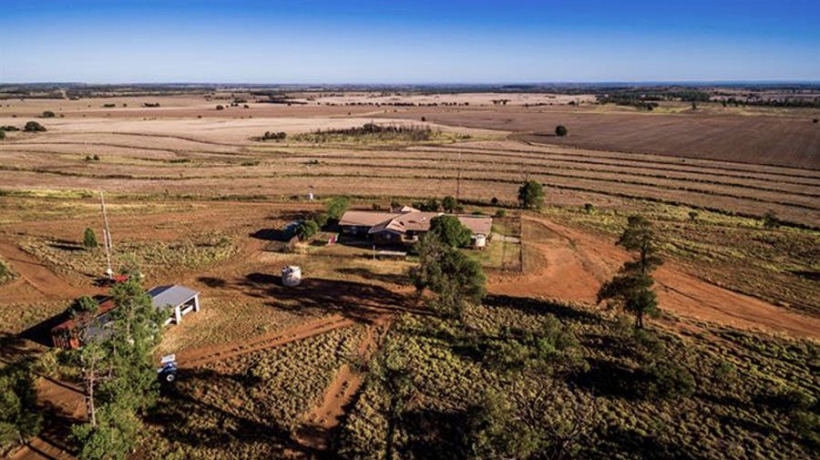 SE Queensland cattle property sold after auction - Green Street News