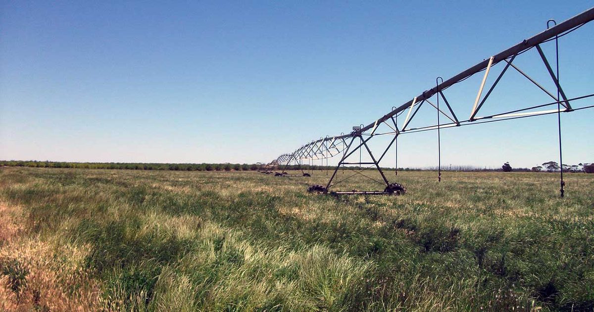 Australia’s largest integrated agribusiness up for grabs - Green Street ...