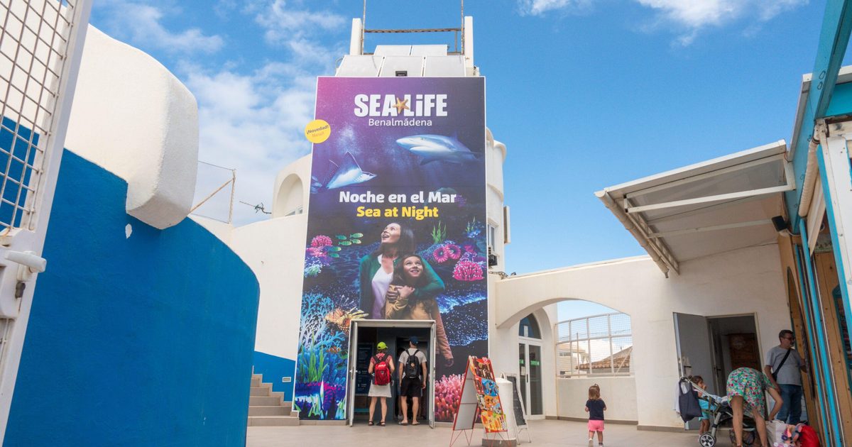 Merlin Entertainments floats potential sale of Sea Life assets - Green ...