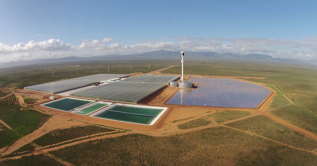 Centuria takes a shine to Sundrop Farms facility - Green Street News
