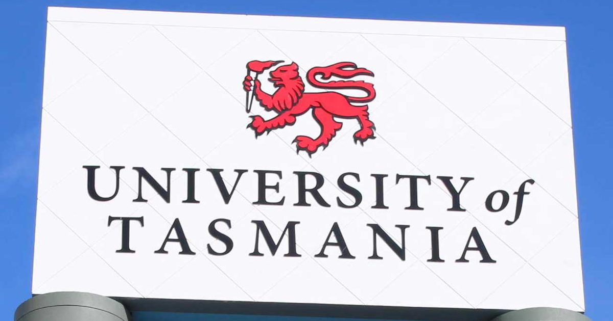 University of Tasmania and The Spark hit it off - Green Street News