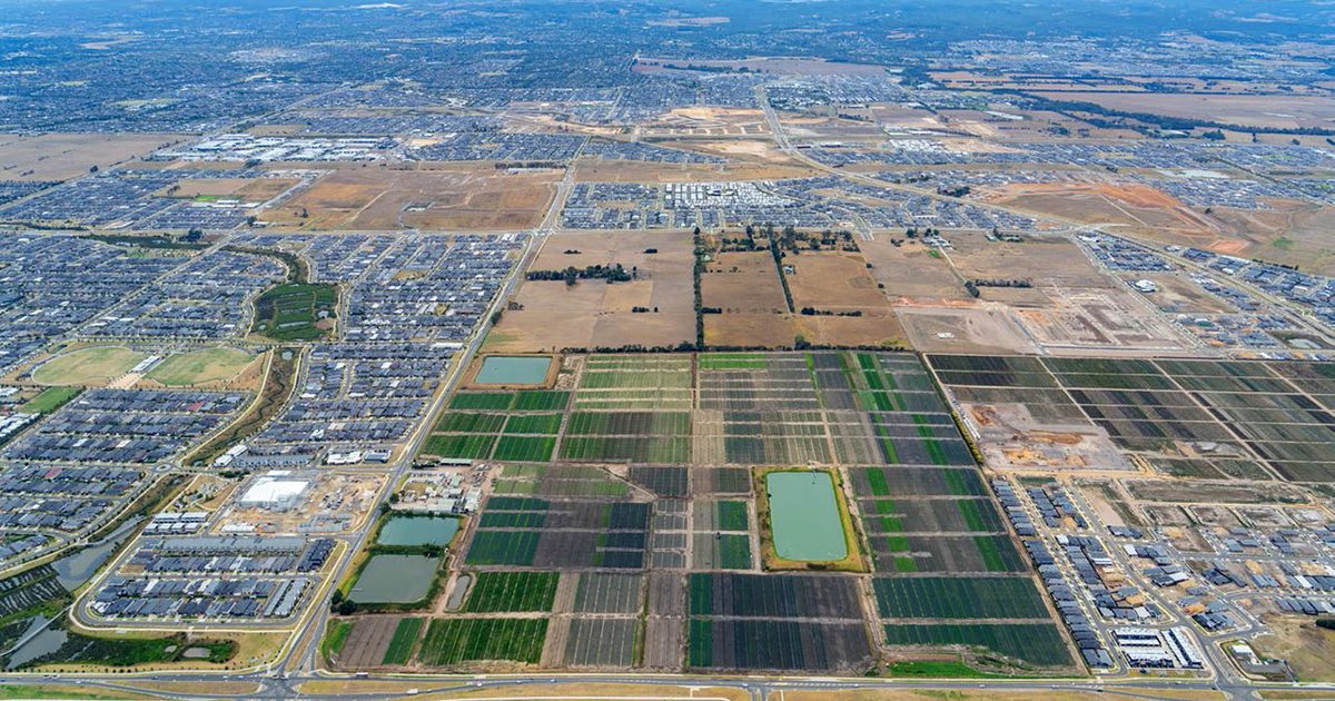 Corrigan family ready to harvest epic farming site - Green Street News