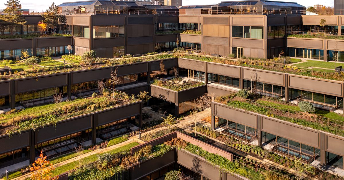 Tomato Energy puts down roots at Plant - Green Street News