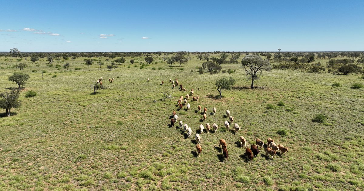 Family sells central western Queensland cattle property - Green Street News
