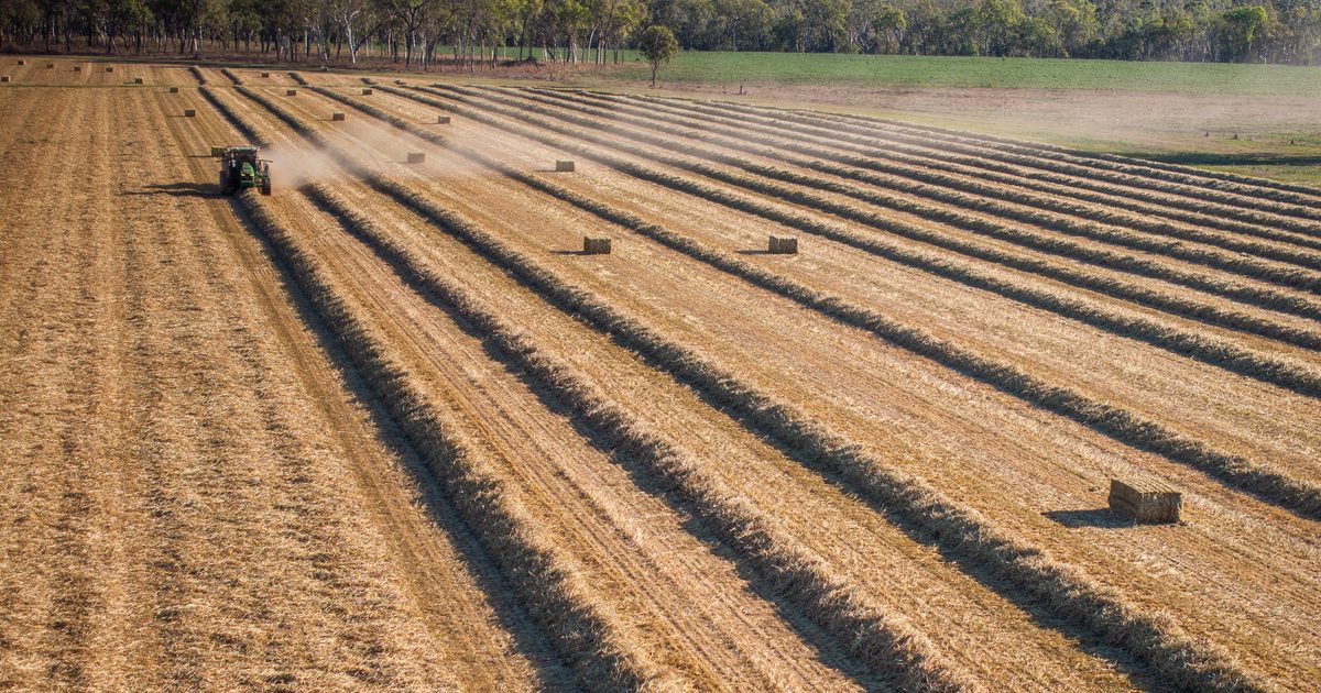 North Queensland premier farmland up for grabs - Green Street News