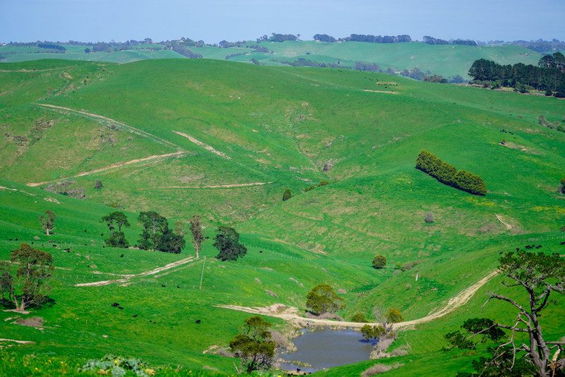 Location of Bupa's carbon capture land regeneration program in Victoria ...