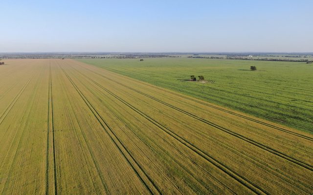 Macquarie to offload $2.5bn farming platform - Green Street News