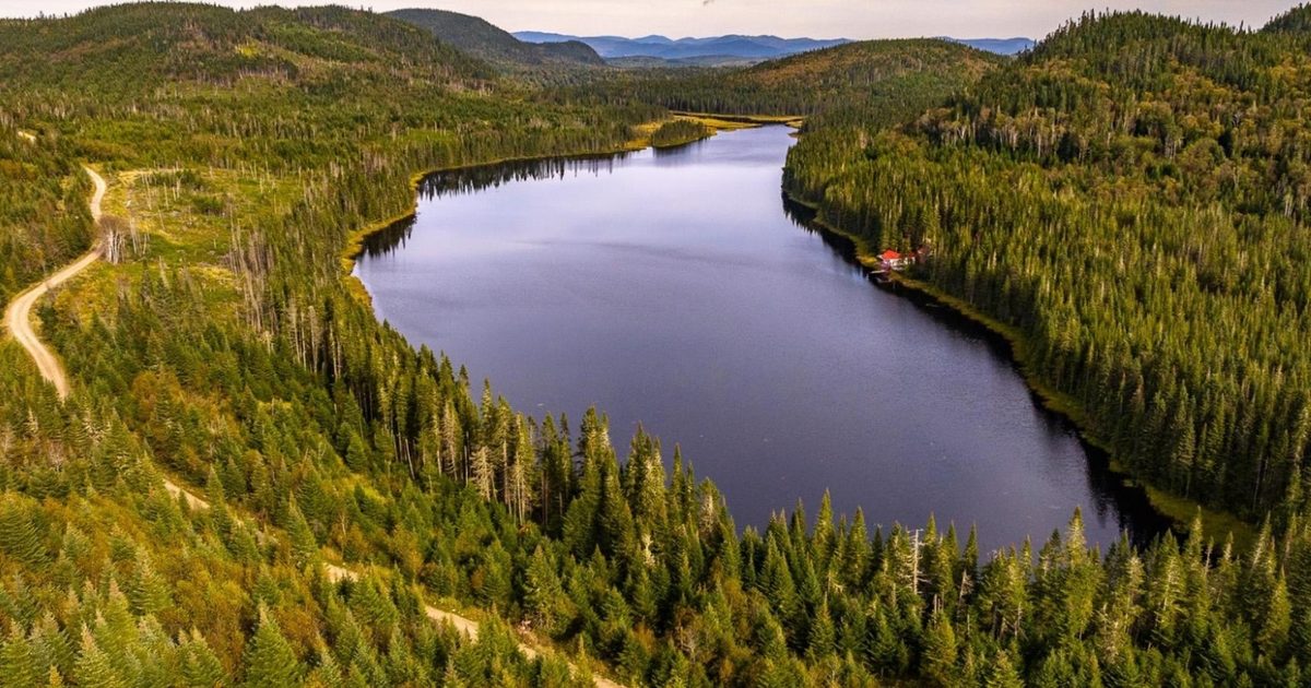 Massive forestry tract near Québec City seeks new owner - Green Street News