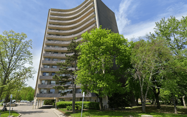 Massive forestry tract near Québec City seeks new owner - Green Street News