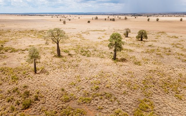 US investor offloads QLD cattle property for $69m - Green Street News
